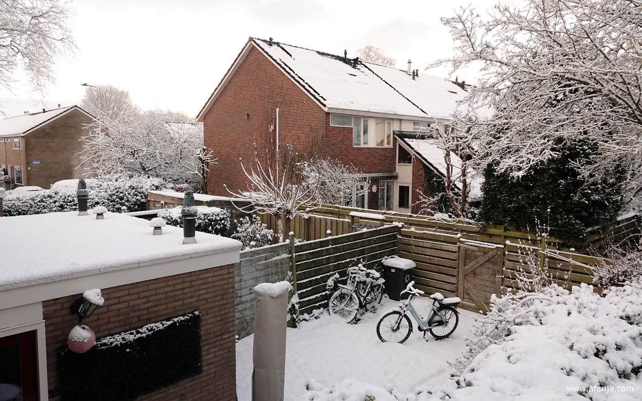 Een witte wereld | Afanja's Weblog