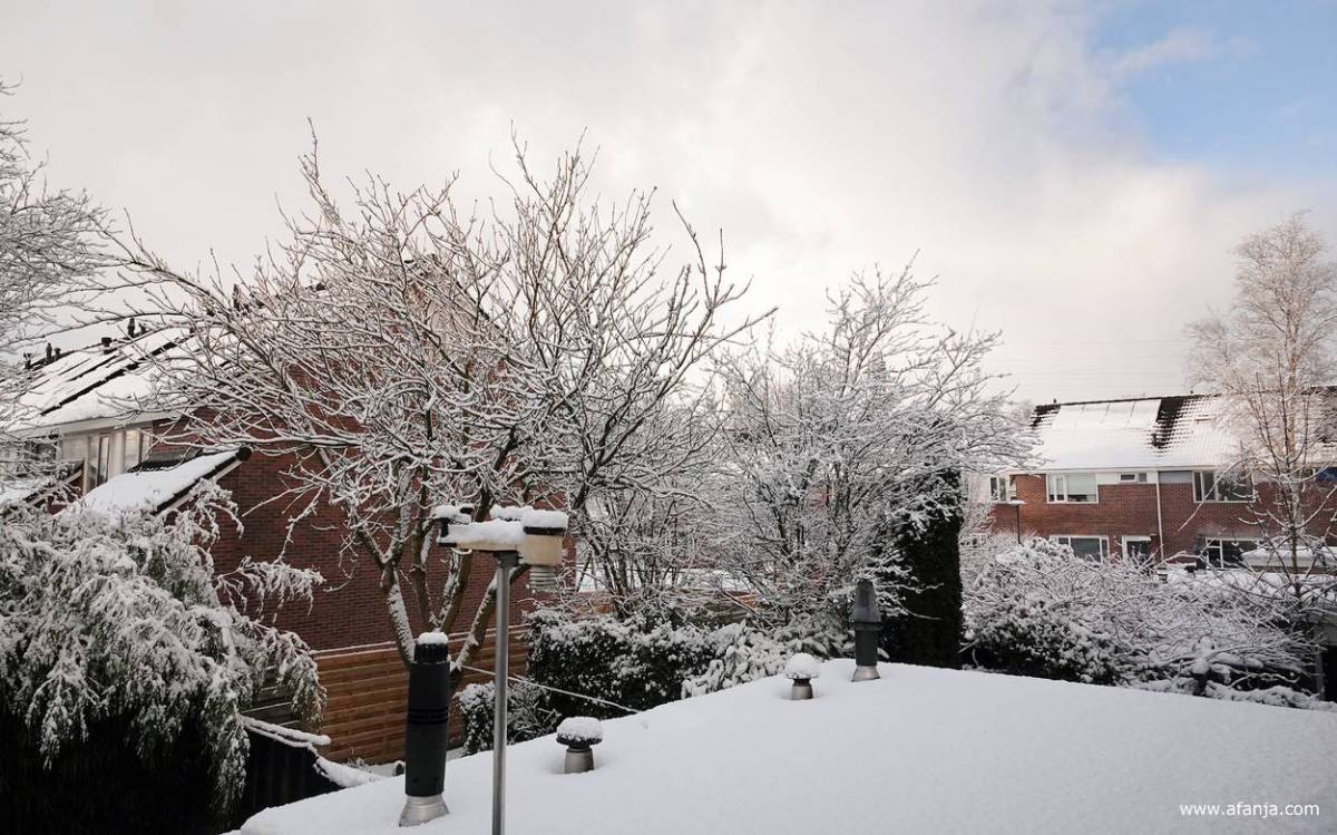 05 | januari | 2026 | Afanja's Weblog