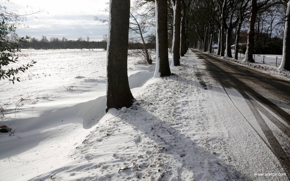 11 | januari | 2026 | Afanja's Weblog